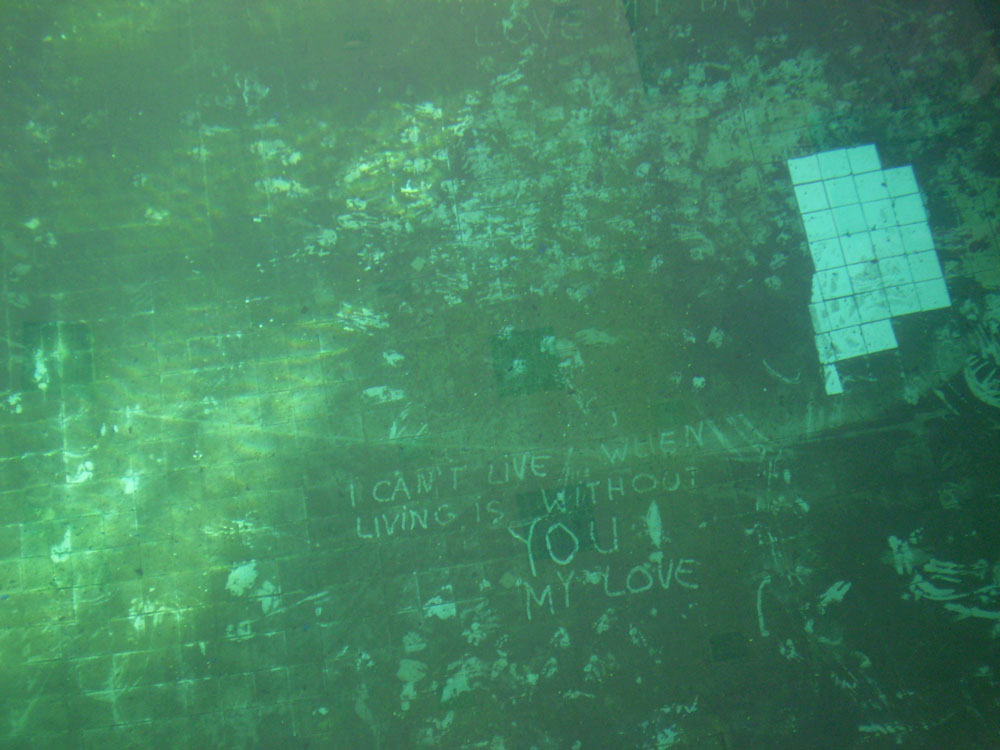 Plonjon in matasea broastei si sarituri pe bureti