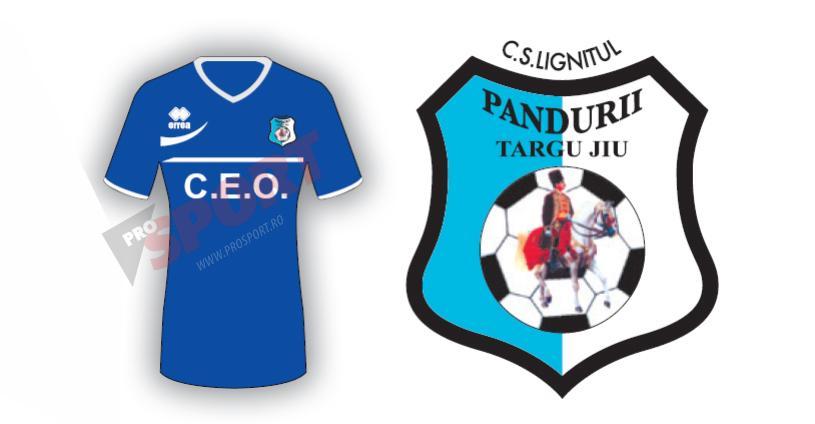 CS Pandurii Târgu Jiu 2013 - 2014: informații generale, lotul de ...
