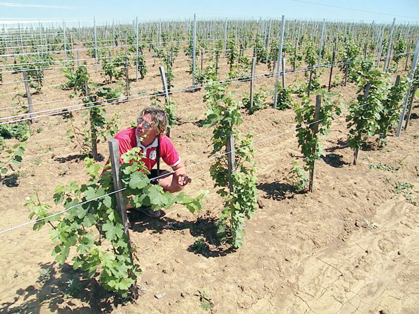 Afacerea de soi a unui fost campion al României. Adrian Anca a renunțat ...
