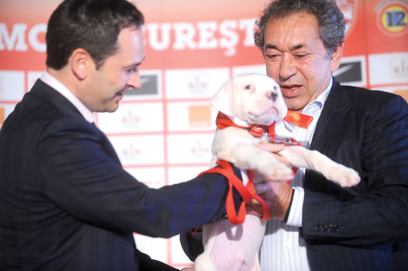 Victor Pițurcă le dă o veste bună dinamoviștilor: Negoiță și Badea au ...