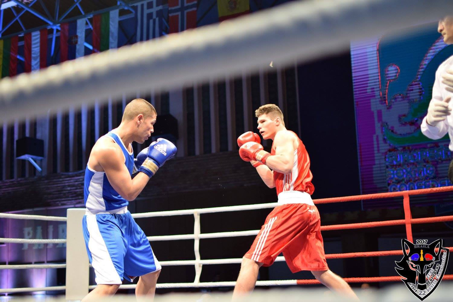 Primele victorii la box în turneul preolimpic de la Londra. Care sunt ...