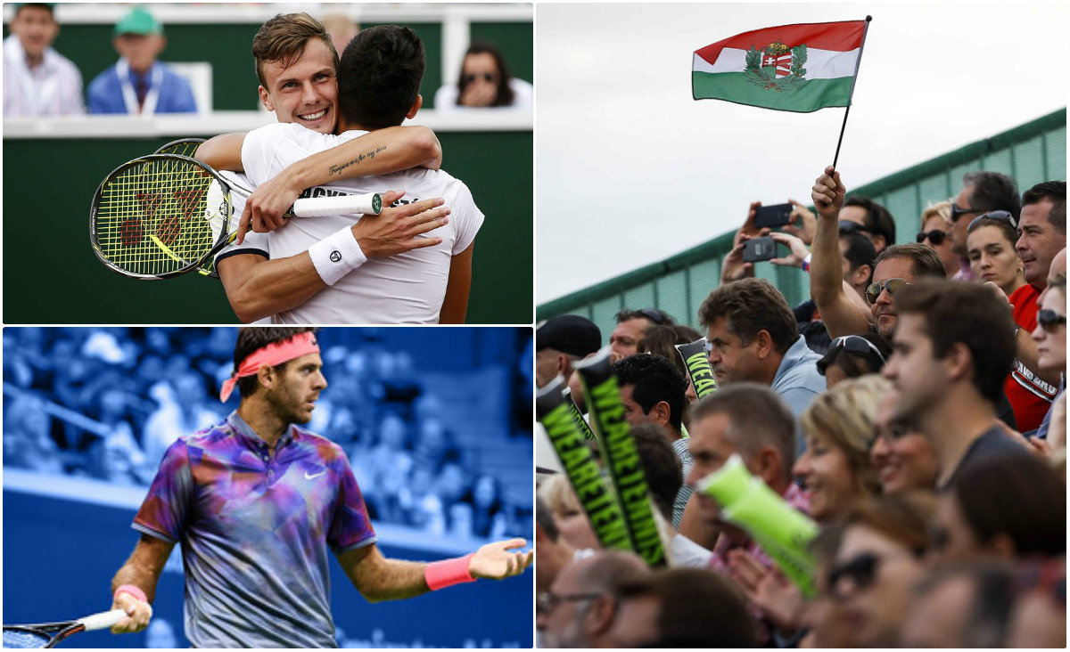 Cupa Davis: surprize mari în meciurile din baraj. Ungaria mai dă o ...