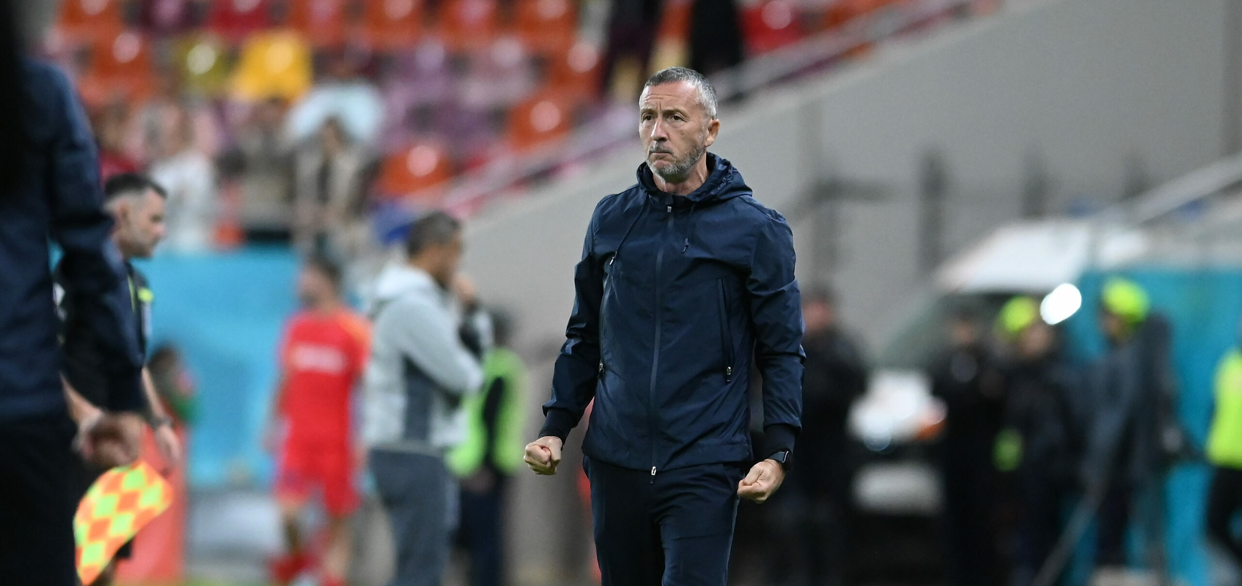 Mihai Stoica, mesaj dur de Ziua României