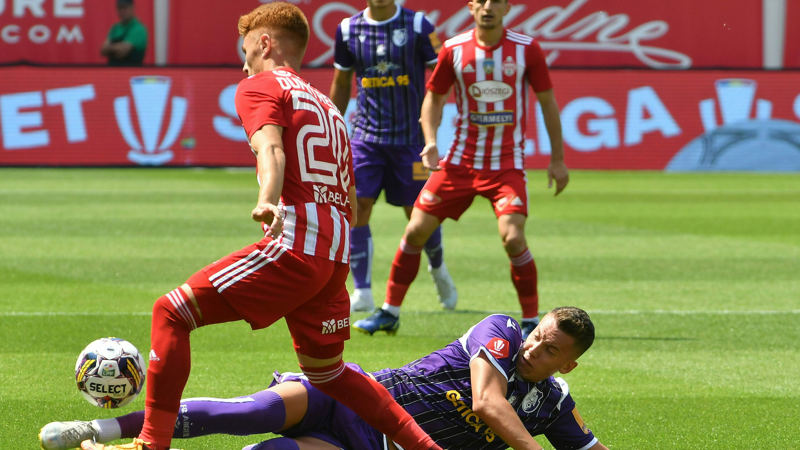 FC Argeș - Sepsi Sf. Gheorghe, Live Video Online