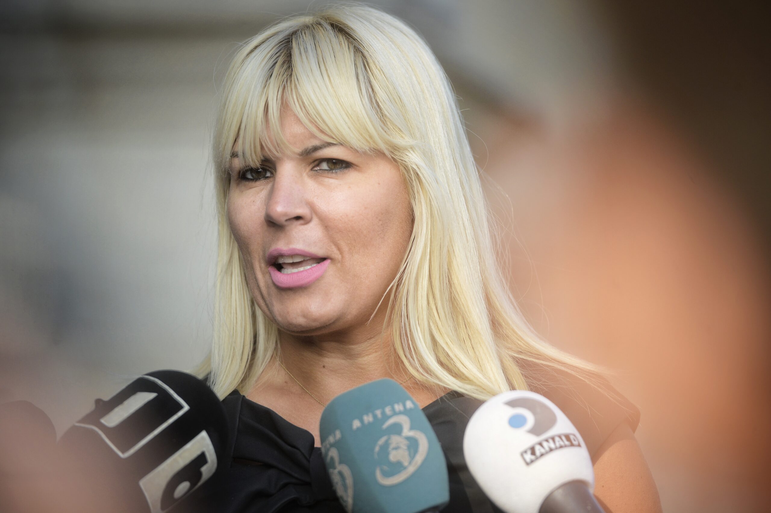 Elena Udrea, îndurerată de moartea lui Rudel Obreja, a trimis un ...