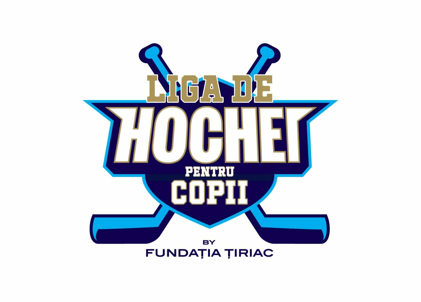 Fundația Țiriac lansează o primă ligă competițională de hochei pentru copii