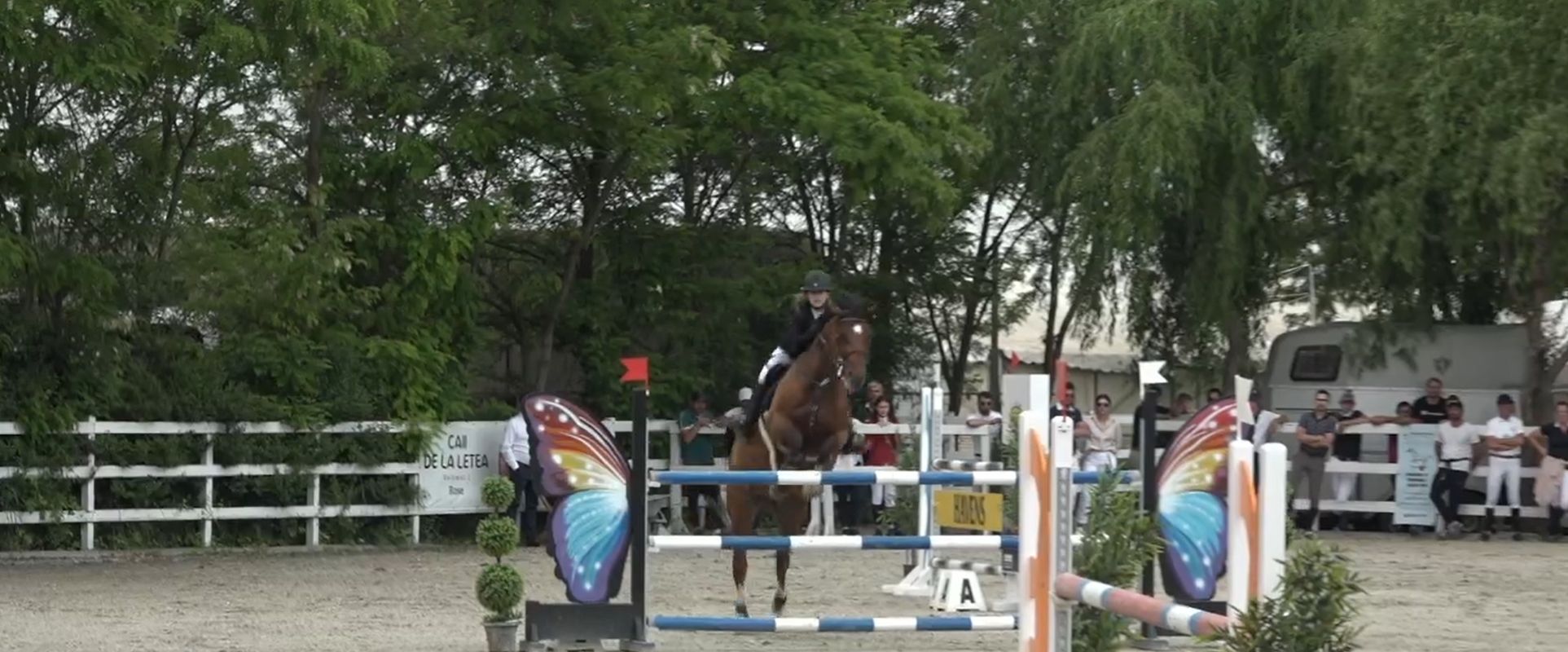 Daria Copos, locul unu la Cupa Federației Ecvestre Române