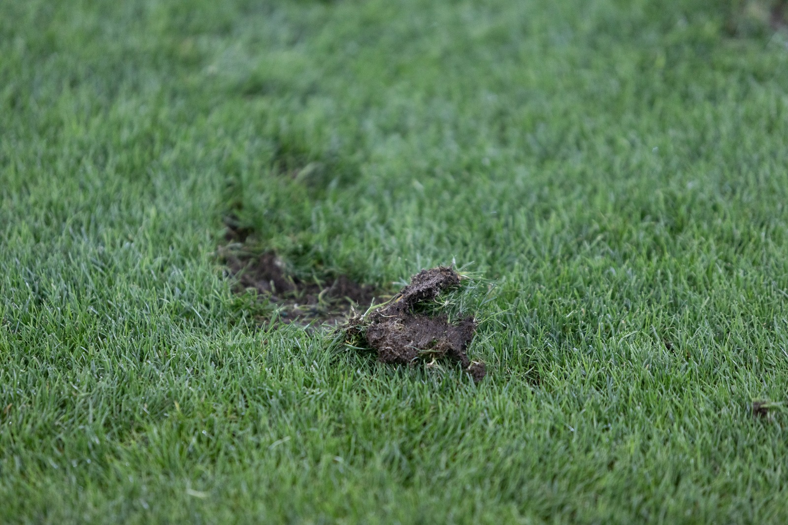 Imagini deplorabile cu gazonul de pe Arena Națională! Fotbaliștilor de ...