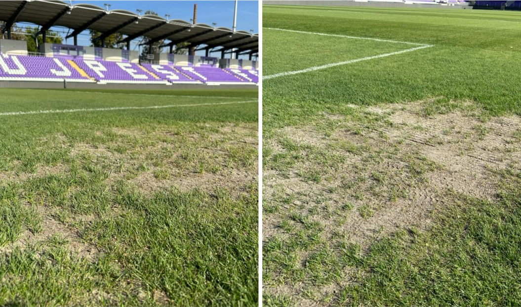 Imaginile groazei cu gazonul din Ungaria, de la Belarus - România