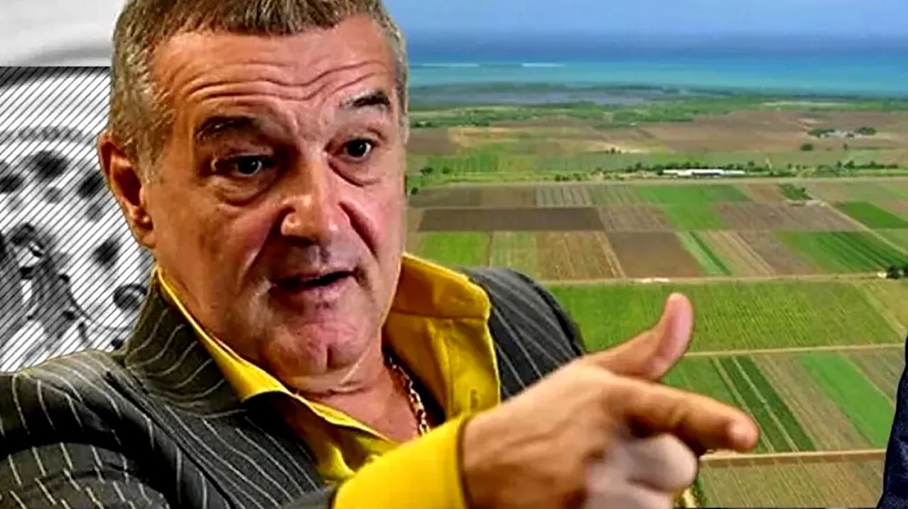 Se clatină imperiul imobiliar al fetei lui Gigi Becali