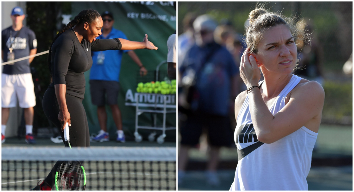 Simona Halep ar putea stârni invidia Serenei Williams din nou! Reacția ...