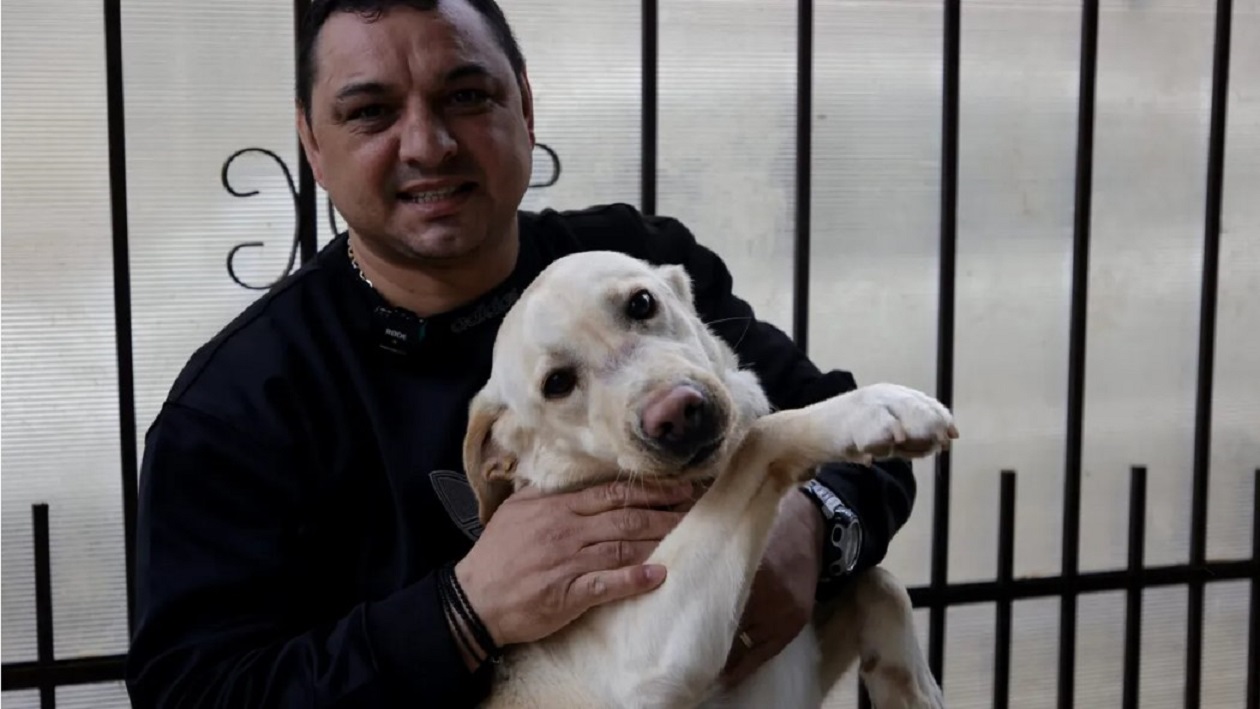 Ionel Ganea prefațează derby-ul supraviețuirii din Bănie, FCU Craiova ...