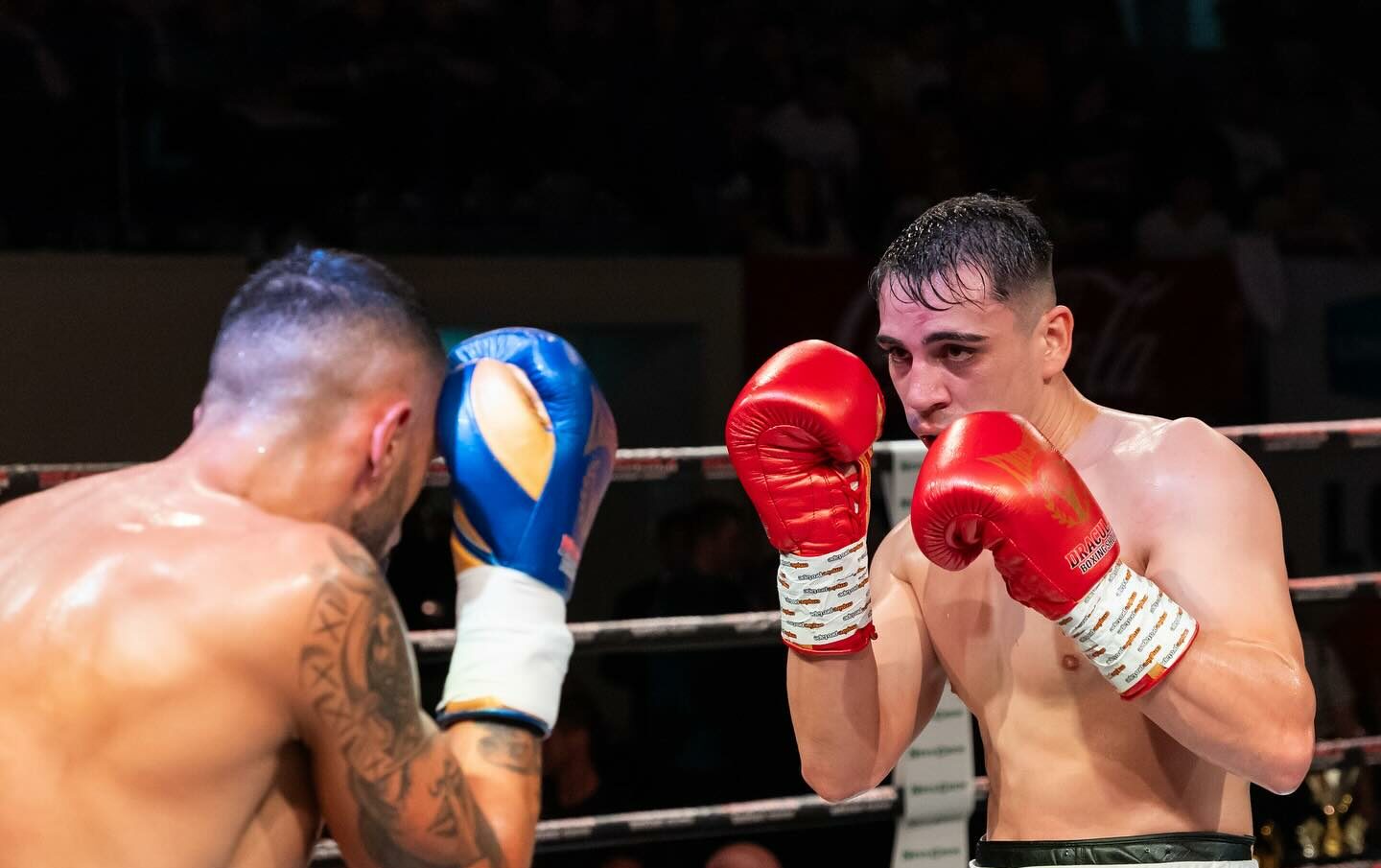 Pumni în ring la Zalău! Mirel Drăgan „Rapidistul", Daniel Buciuc „Magic ...