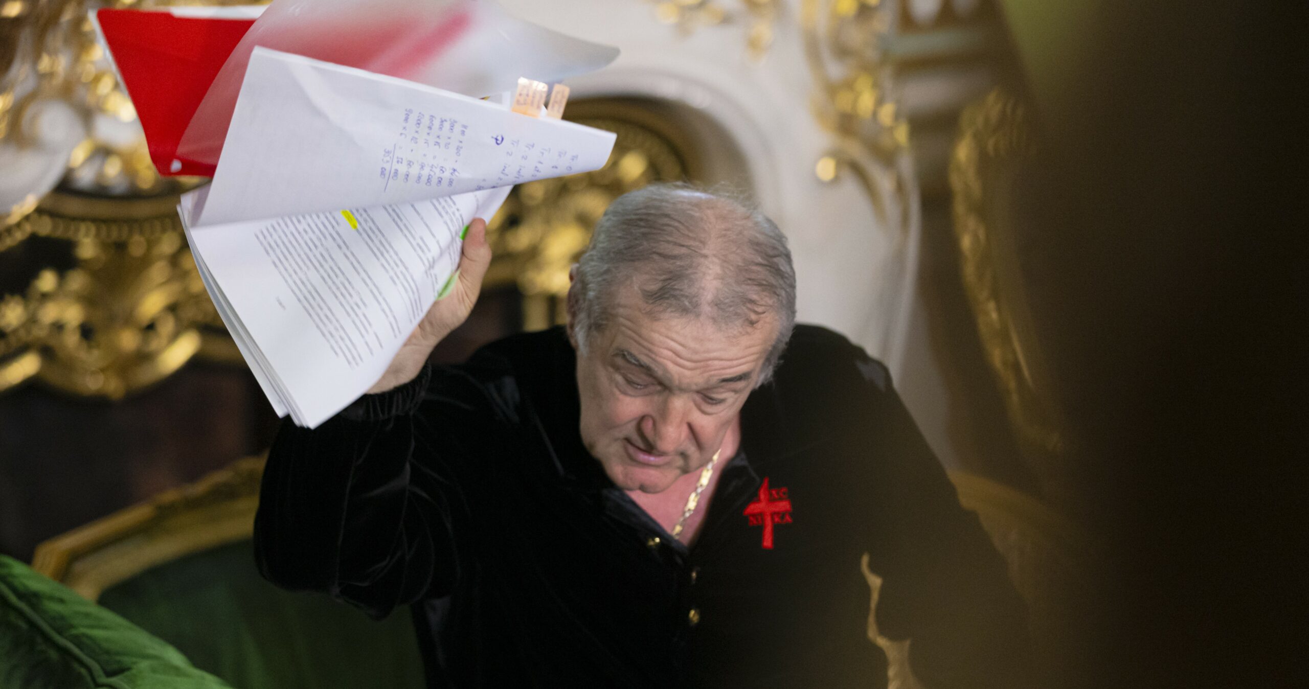 Gigi Becali și-a mai luat o țeapă în stilul Compagno. Un alt atacant ...